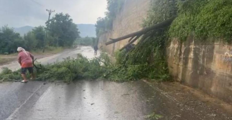 Mot me ekstreme në Shqipëri. Gjysma ‘digjet’ nga vapa, në jug përmbytje ...